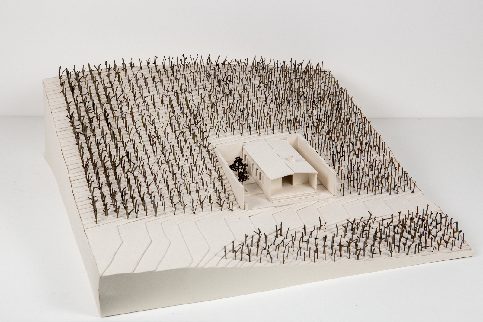 Antonia Geerdsen, Liana Reimer, Julia Börner