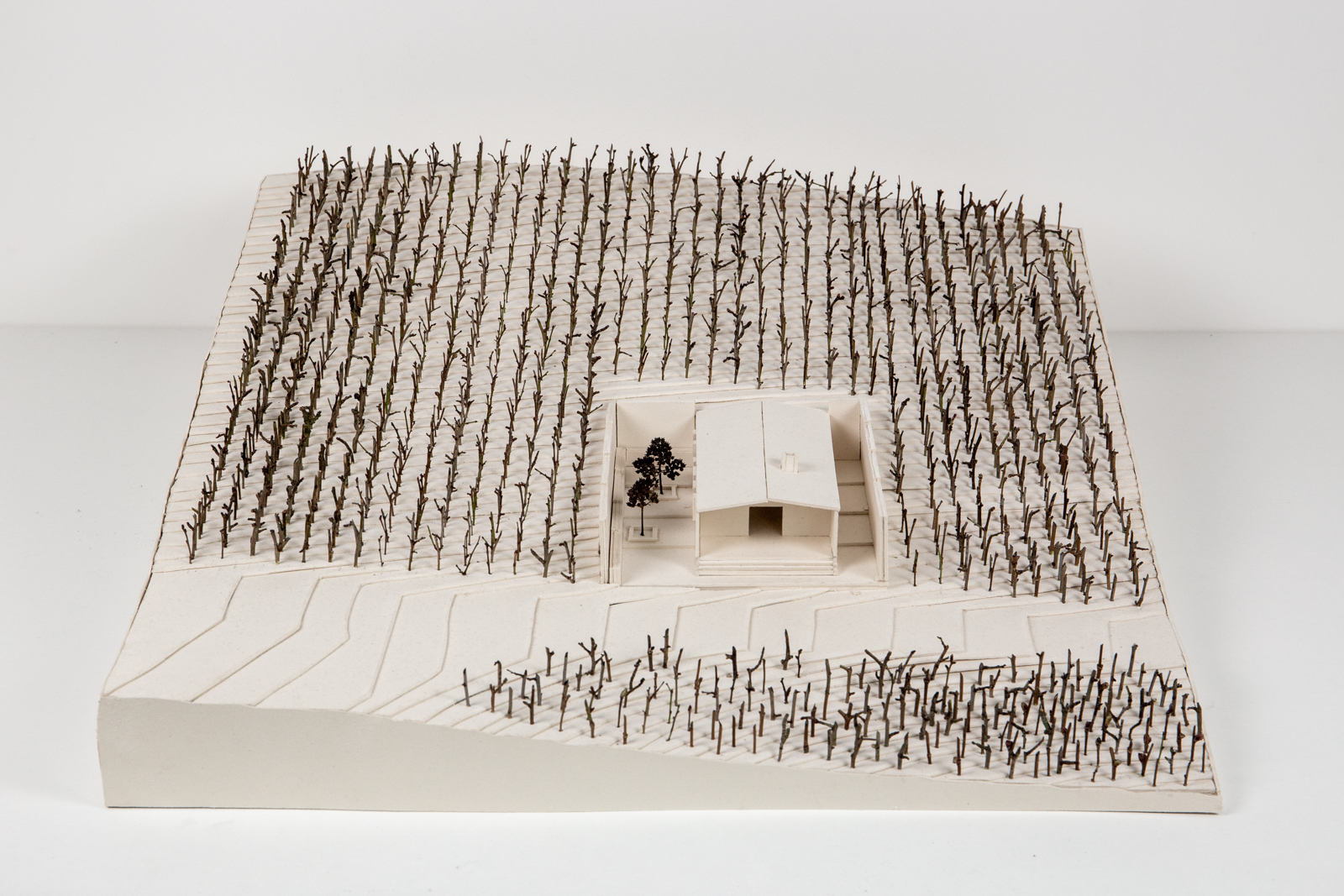 Antonia Geerdsen, Liana Reimer, Julia Börner